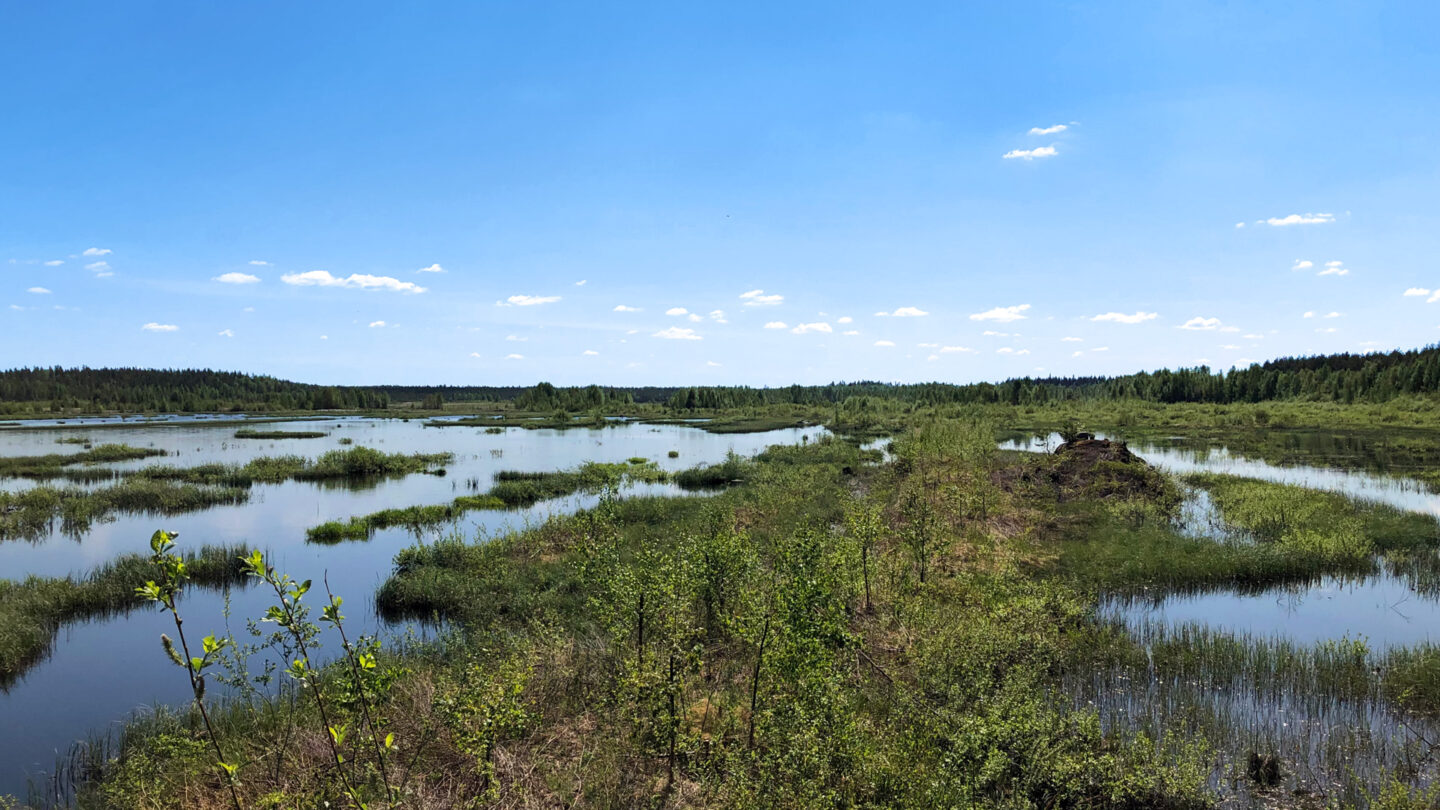 EPV mukana Suomen suurimman vesilintukosteikon toteutuksessa - EPV